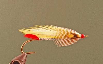 Maine Flyfishing: So what flies are good at GLS?