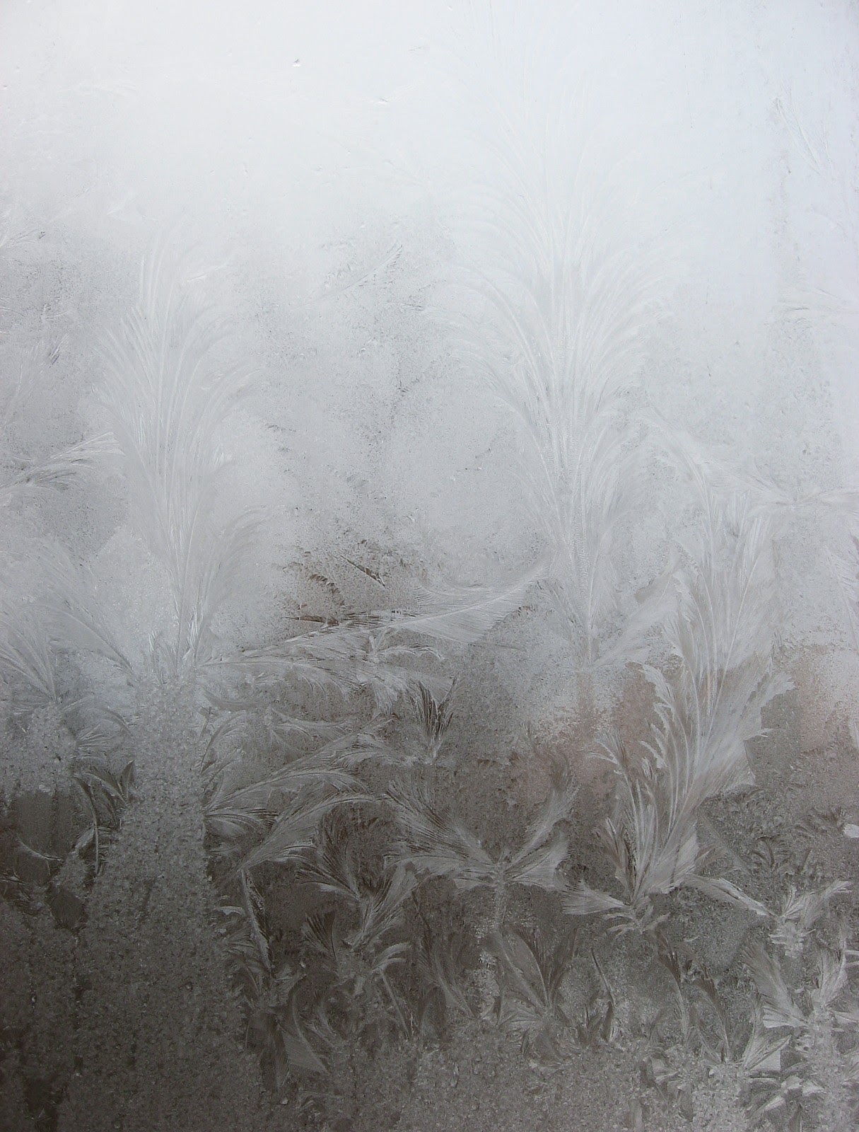 Moscow Daily Photo: Frozen Window