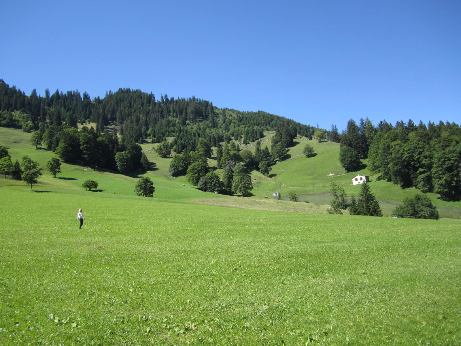 travels with clara: Heidiland