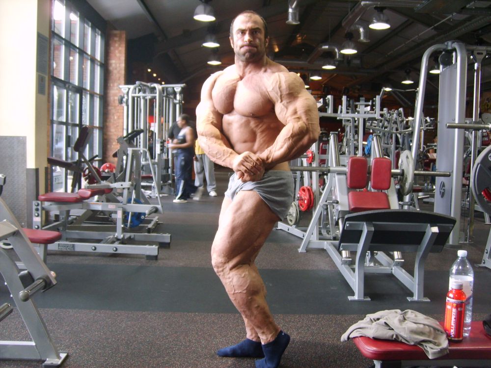 Bodybuilder Daz Ball 4 Bodybuilders And Muscle Men