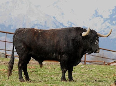 ESPAI TAURÍ: marzo 2010