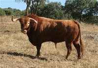 ESPAI TAURÍ: septiembre 2010