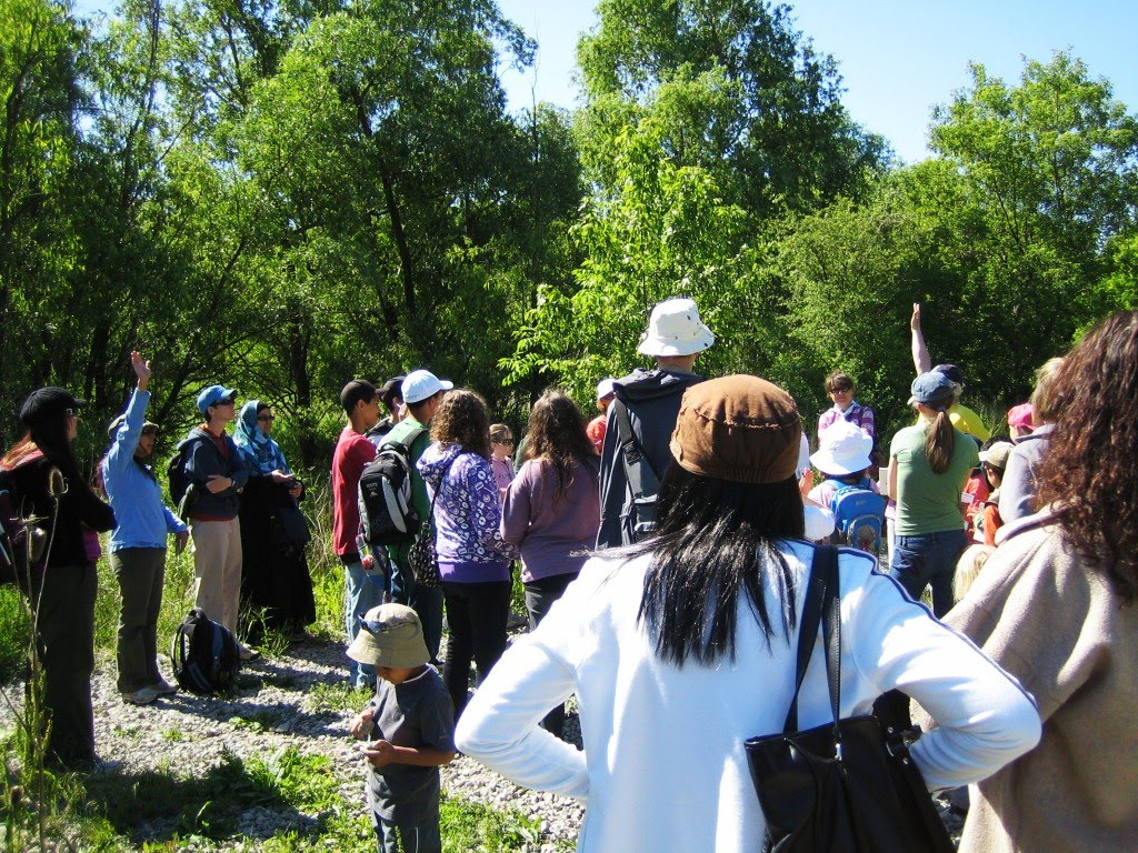 Tutored by Nature Inc: HOMESCHOOLERS...SAUNTERING AND PLANTING AS ECO ...