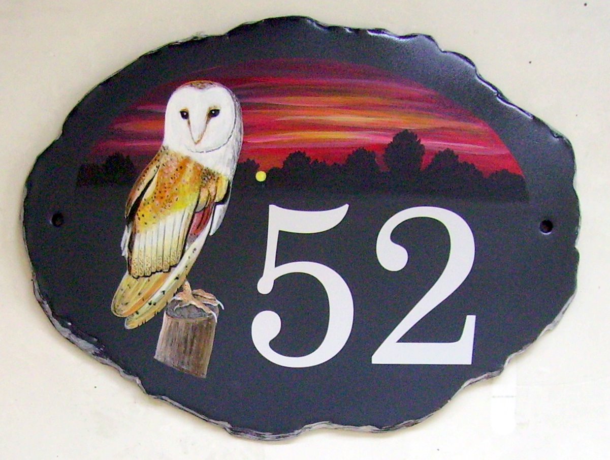 Pictorial House Signs from Yoursigns Ltd: Barn owl house number sign