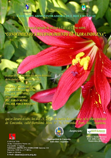 ASOCIACION ECOLOGISTA RIO MOCORETA: RECONOCIMIENTO DE FLORA región Rio ...