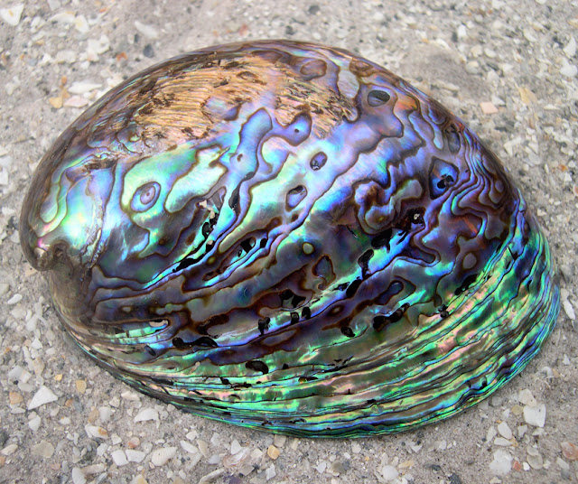 Shellbelle's Tiki Hut: Game Time and I'm not talking football!