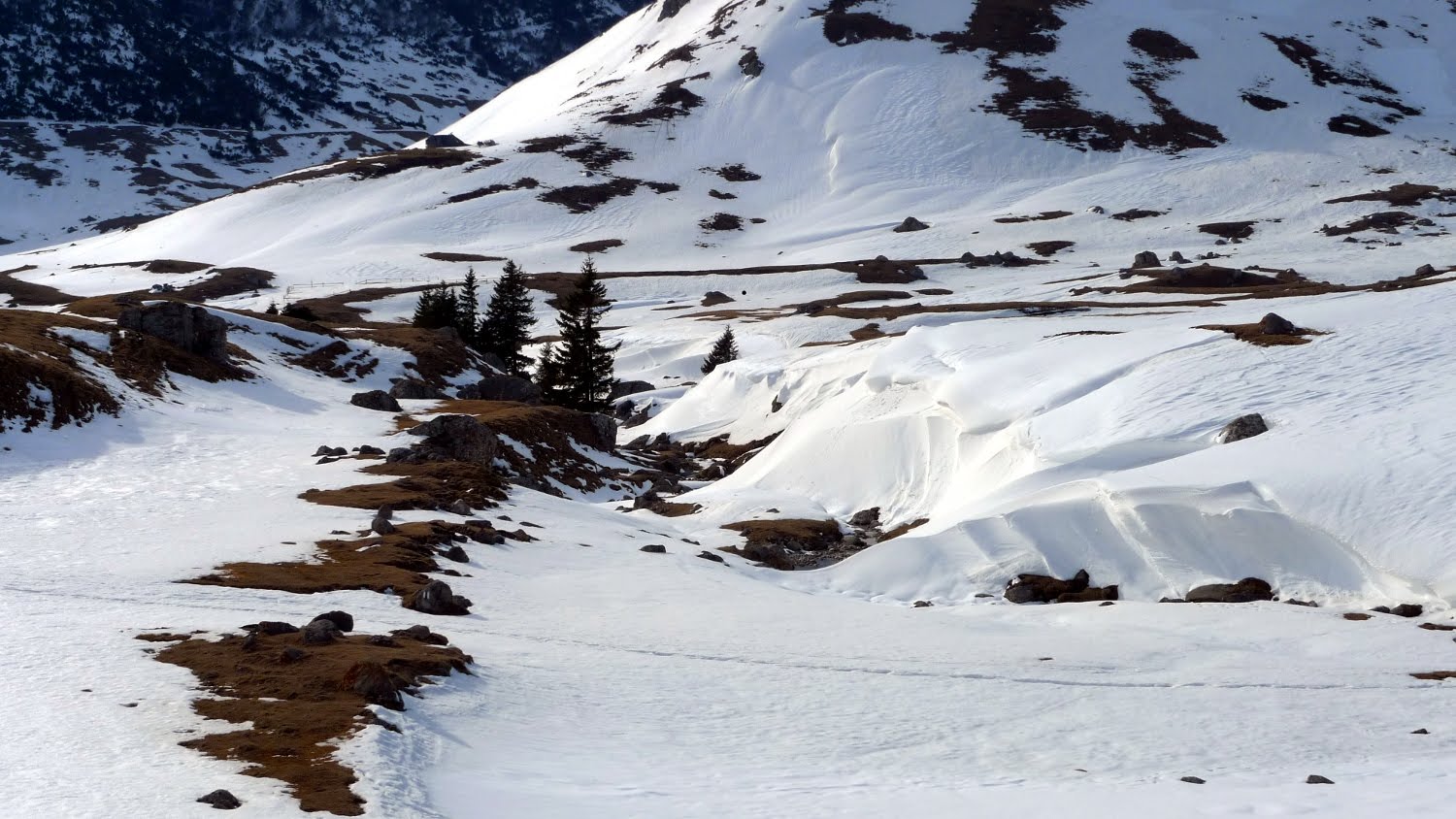Albota: Valley of Ialomița