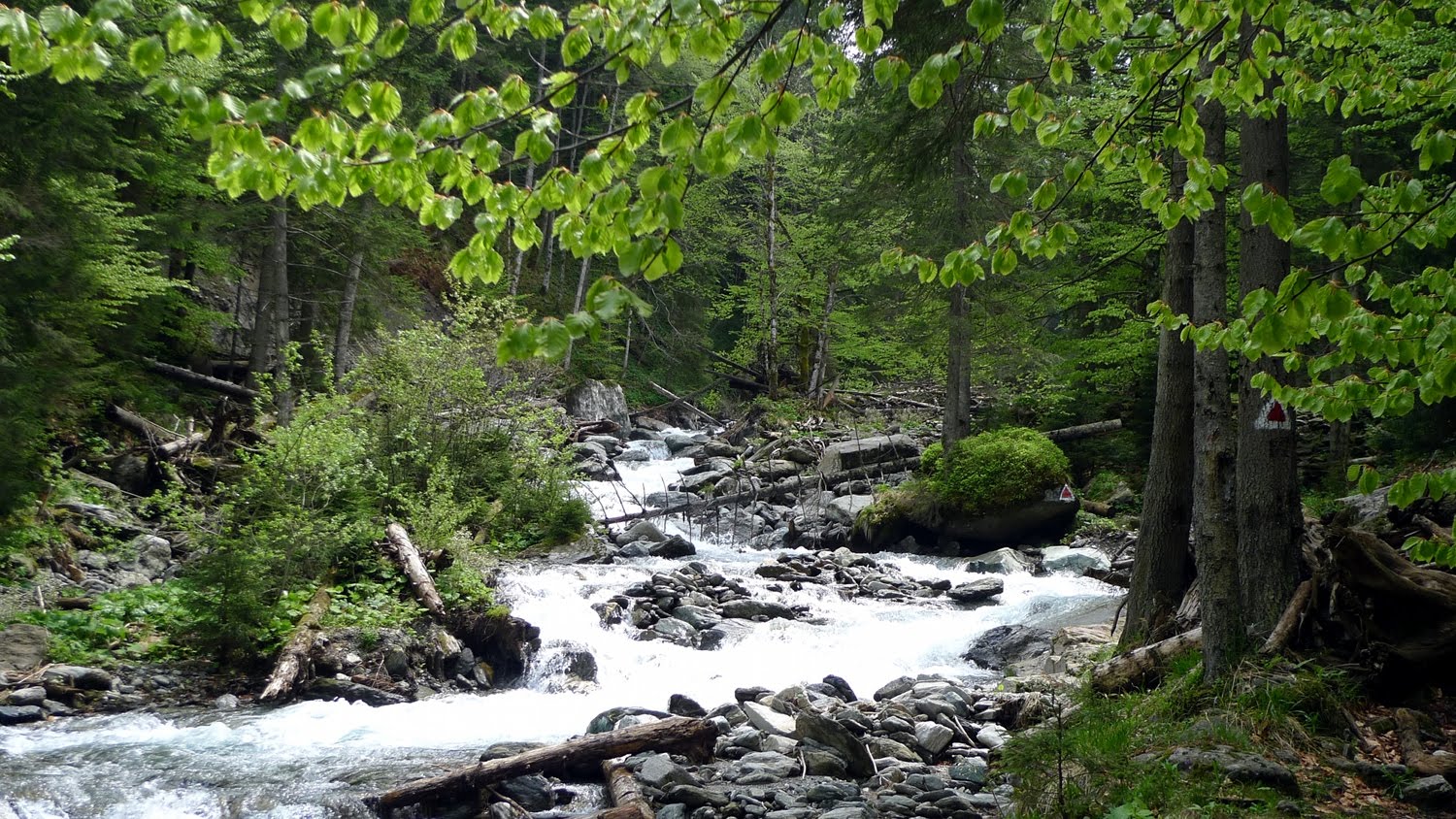 Albota: Hiking in Sîmbăta Valley