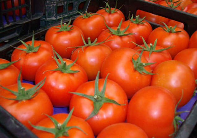 Productos Hortofrutícolas de Almería: marzo 2010
