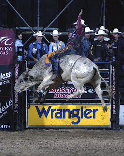 Rodeo Action Photos: Cory Melton wins Mossy Oak Shootout on Werewolf ...