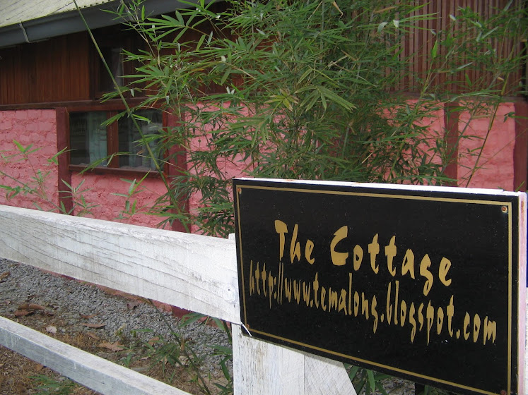 The Cottage: Lada Pahit yang banyak khasiat..