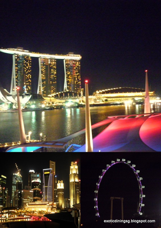 Exotic Dining Spots in Singapore