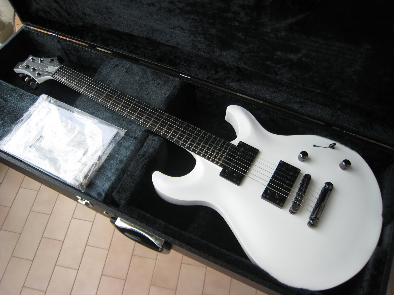 Guitar Gear Acquisition Syndrome: Review of Caparison Angelus HGS GM ...