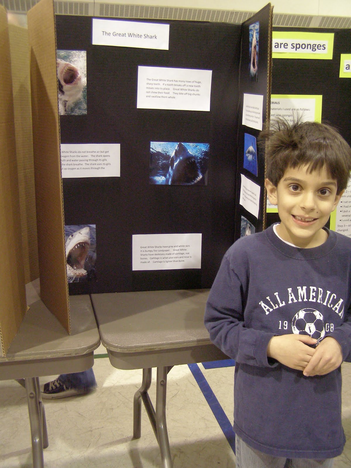Young Adventures...: Ian's first science fair