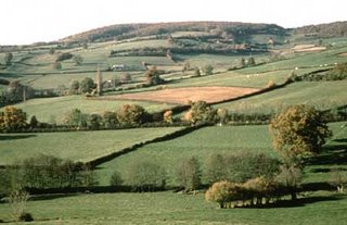 Ámbito SL Eugenio: Minifundio.