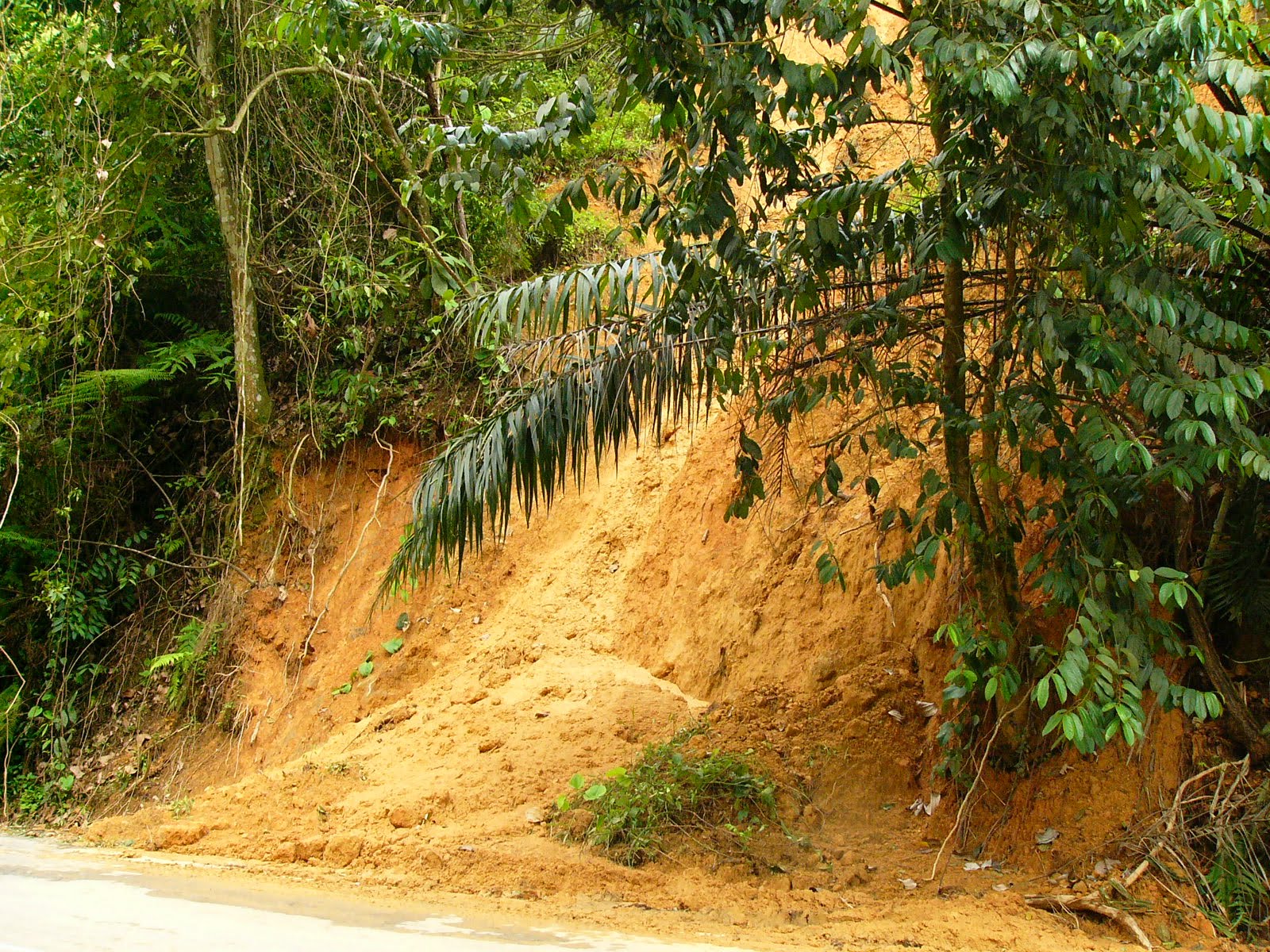 Krew Bandar Baharu: TANAH RUNTUH