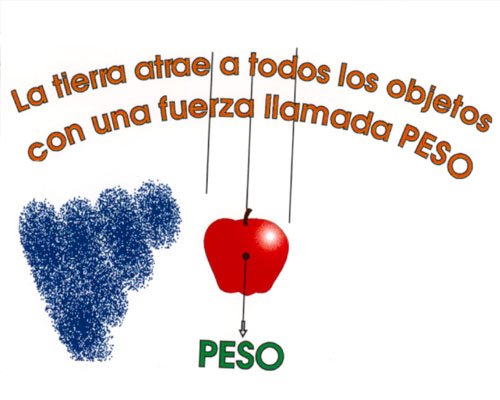 MICLASE4 PRIMARIA: ¿Qué es la gravedad?