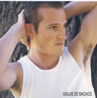 AXILAS DE MACHOS: MACHOS