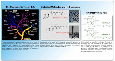 Abiotic Oil - Abiogenic Petroleum Origin