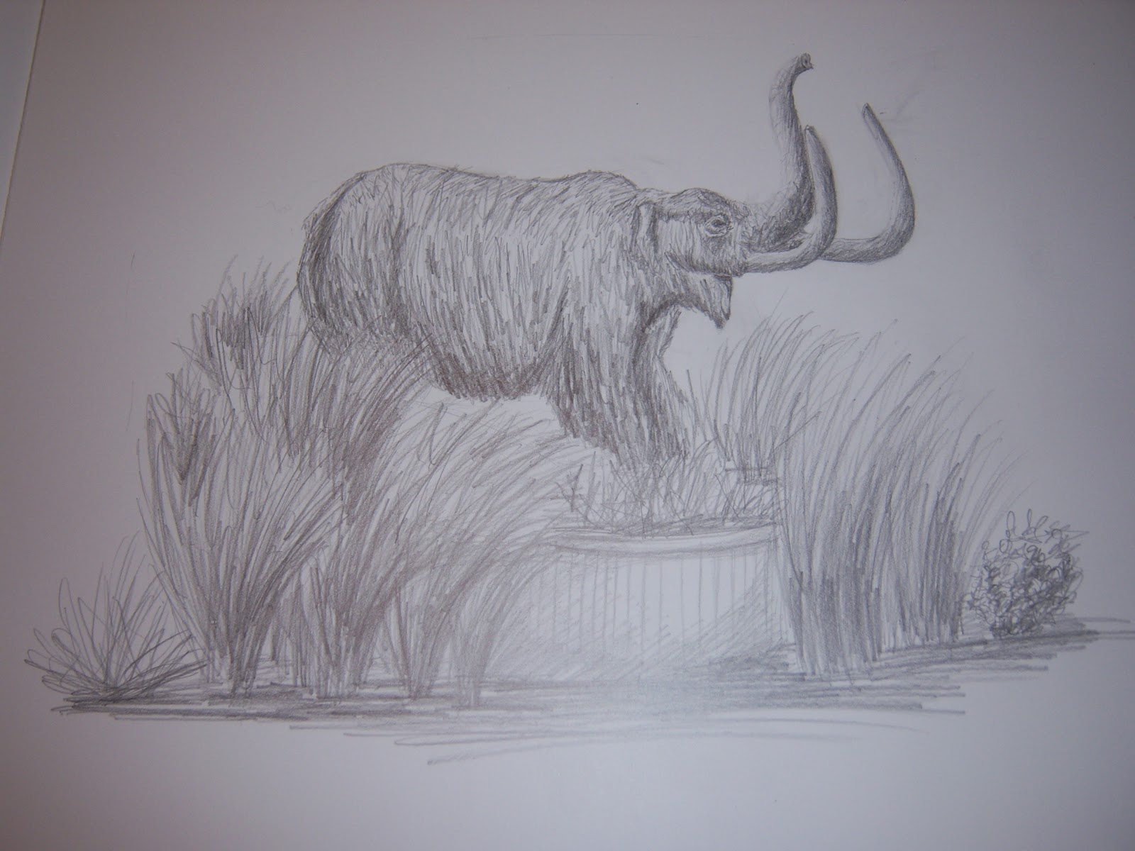 Anna Mersaydes Photography and Design: Drawing Fundamentals 2 Works