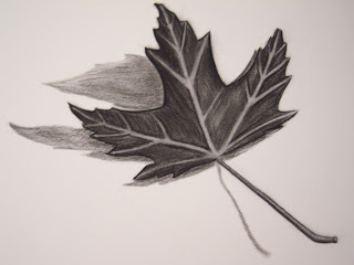 Anna Mersaydes Photography and Design: Drawing Fundamentals 2 Works ...