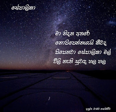 කිරිකවඩි: Sepalika