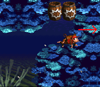 DKC - Croctopus Chase ~ Donkey Kong Country Forever