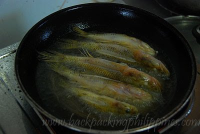 Backpacking Philippines: Origin of Filipino Idiom Utak Biya (Goby Fish ...