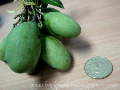 Backpacking Philippines: Tart Little Mangoes Called Paho