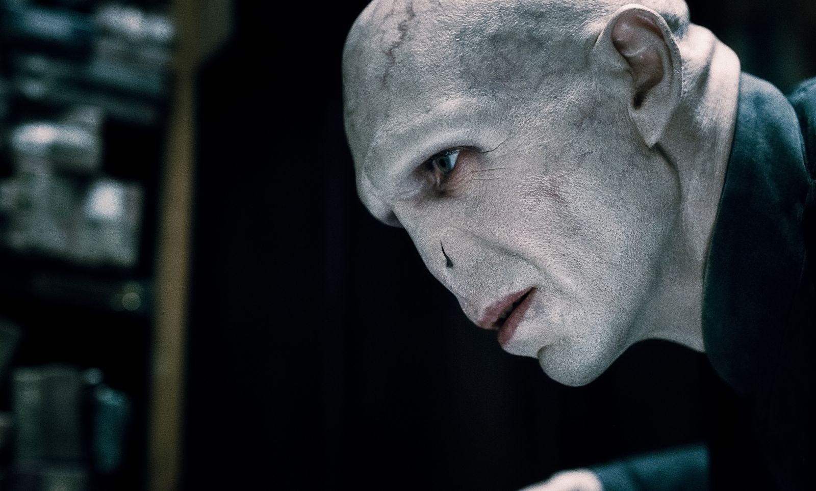 The Face of Evil: Lord Voldemort on Deathly Hallows Part 1 | Jori's ...