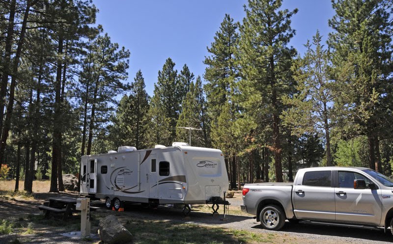 Follow The Sykes Birds: Sisters