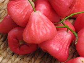 Philippine Facts and History