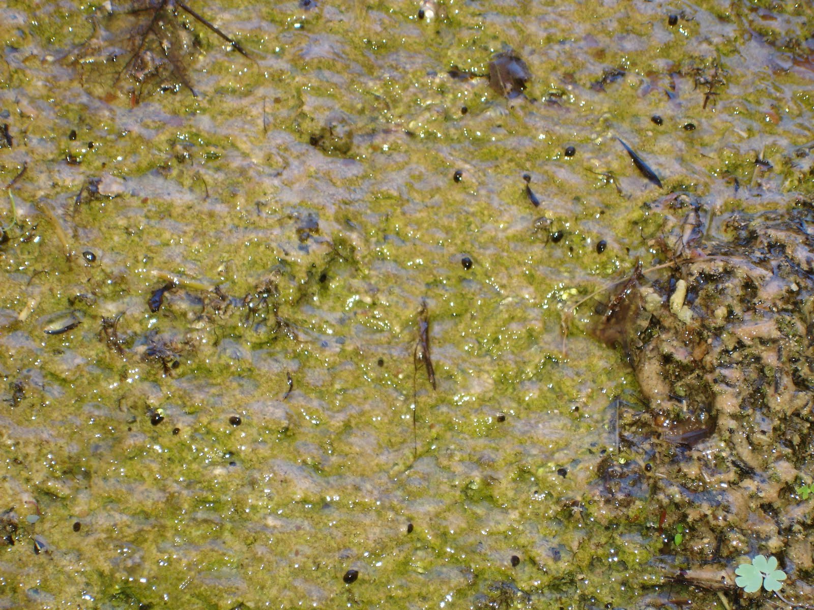 Travelin': ...Zion National Park...