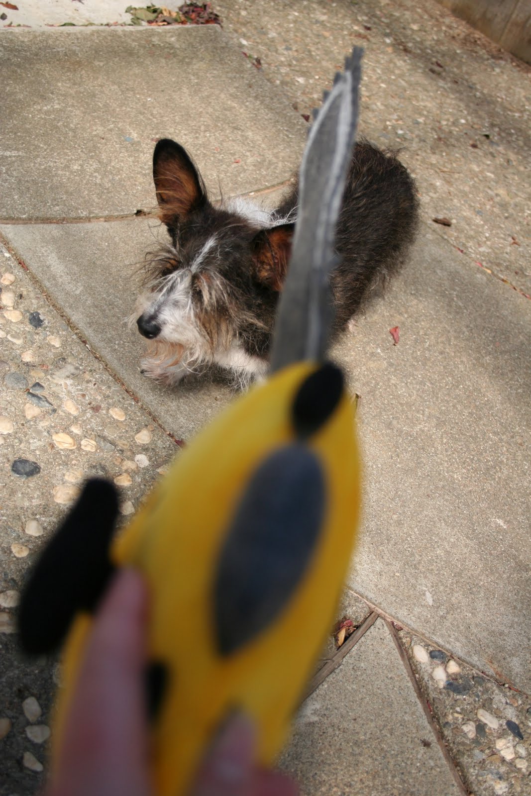 Meet Sam and Pete: PlushTeam Challenge: Call of Duty Plush Warfare