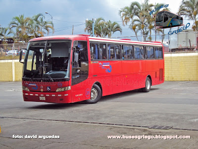 buses griego: GALERIA 15 (24/10/10)