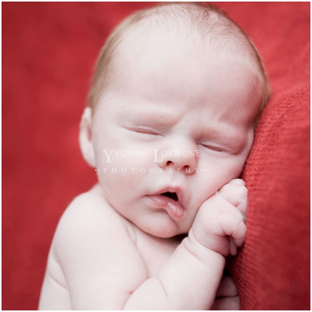 Yvonne Lorraine Photography | My Newborn Portrait: Newborn Baby ...
