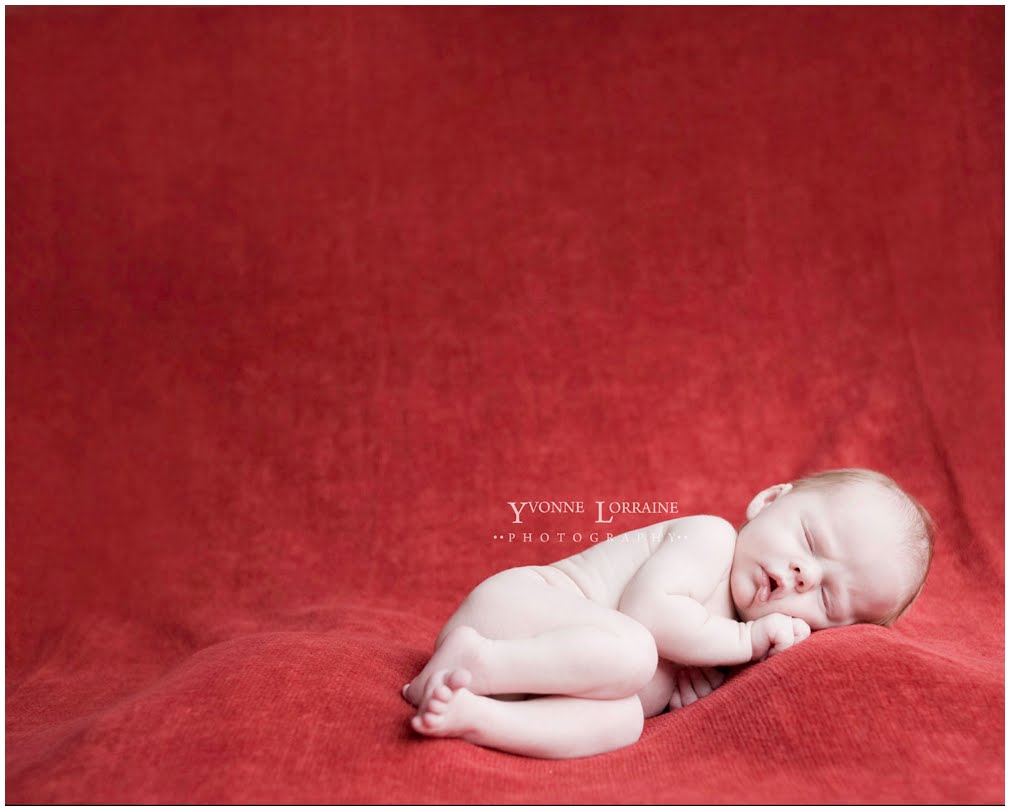 Yvonne Lorraine Photography | My Newborn Portrait: Newborn Baby ...