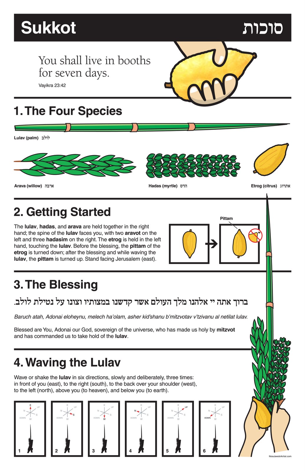 IsaacB2_Sukkot-Poster.jpg (1035×1600) | Sukkot, Sukkot crafts, Lulav ...