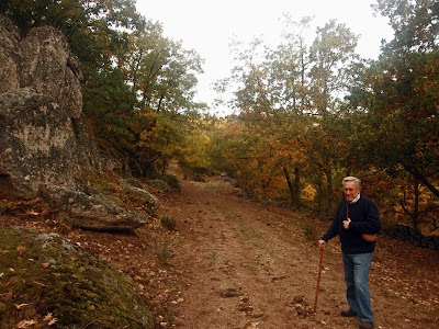SIERRA DE AVILA Y MIS MONTAÑAS: MONASTERIO DEL RISCO