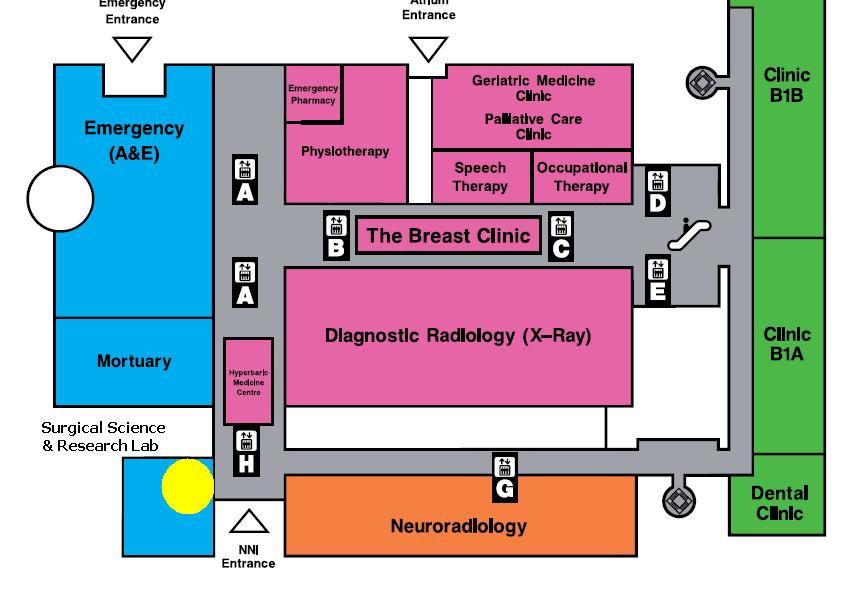 Hand & Wrist Arthroplasty Course