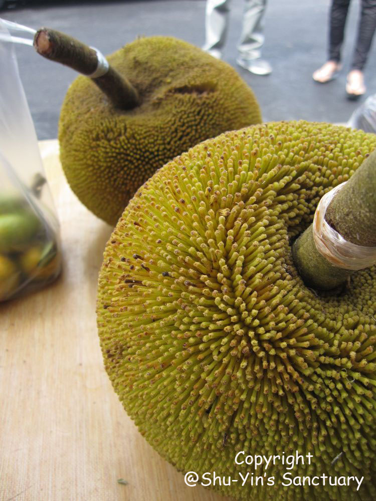 Shu-Yin's Sanctuary: Food We Ate in East Malaysia