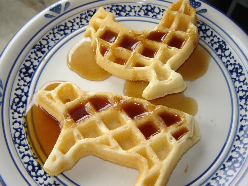 TOFU MOM . . . and gravy!: Blue-Corn Waffles (Using "The Vegg Baking ...