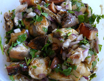 Outras Comidas: Salada de Búzios