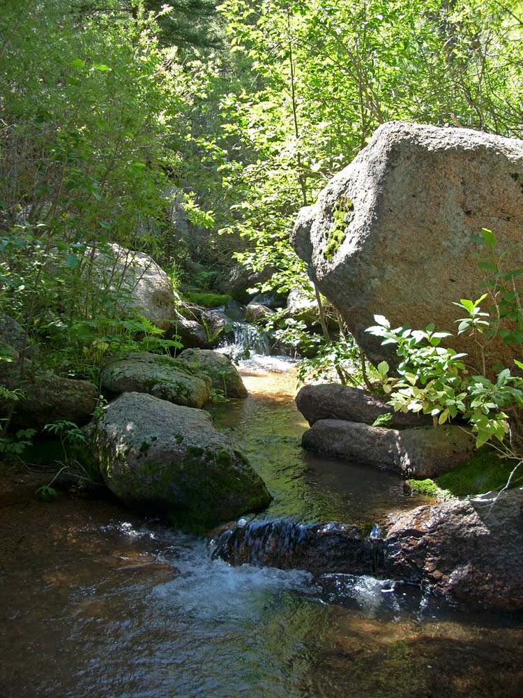 Happy Trails: Limbaugh Canyon Loop