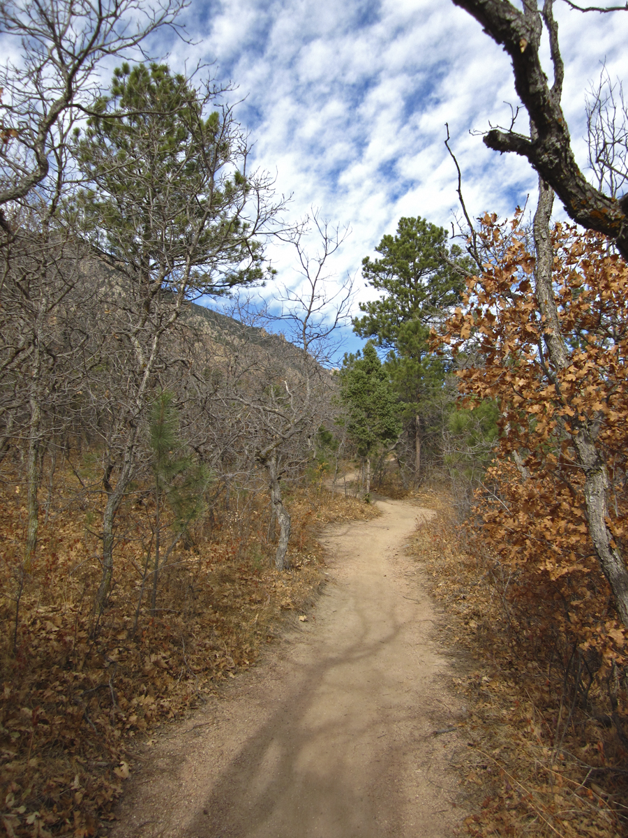 Happy Trails: Unbelievable November Running!