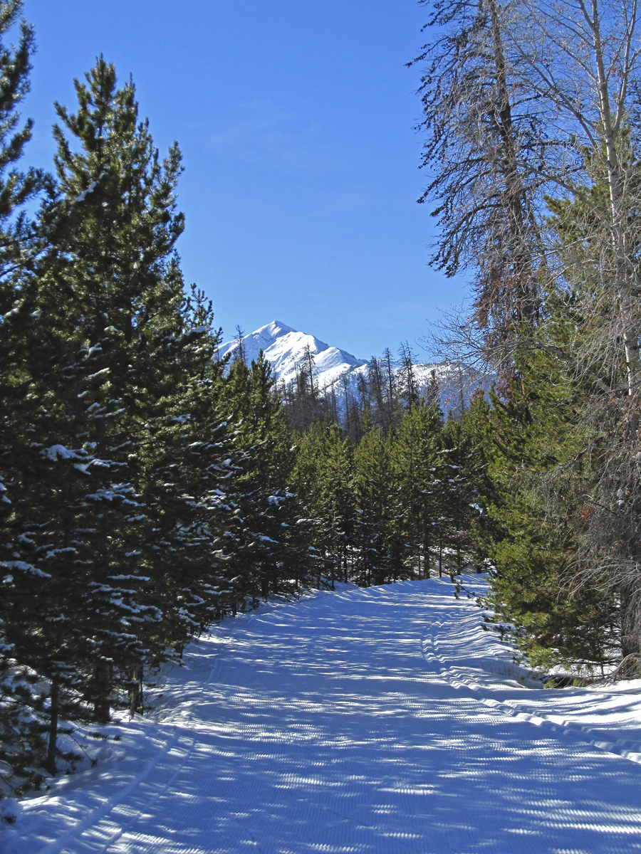 Happy Trails: Dec 26, 2010