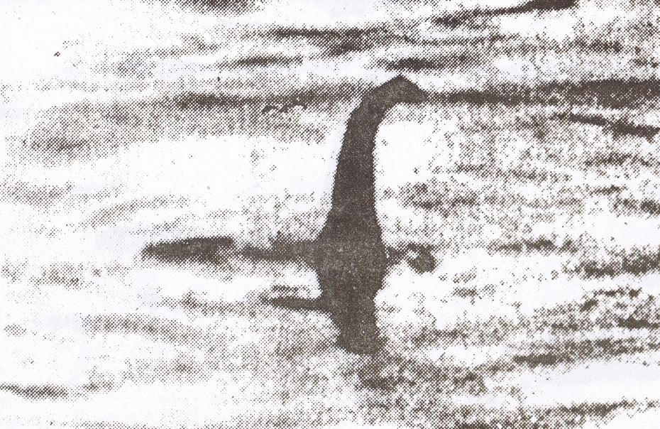 LOCH NESS MONSTER: The Seagull and the Surgeon's Photograph