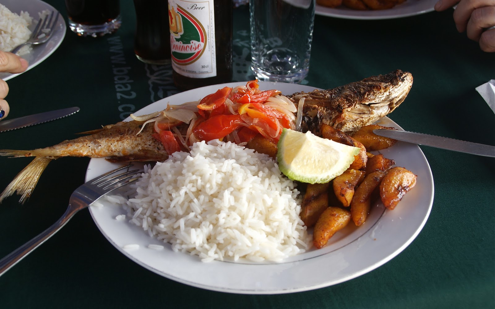 On revient du Bénin...: 16 Janvier : Balade au bord de la mer avant le ...