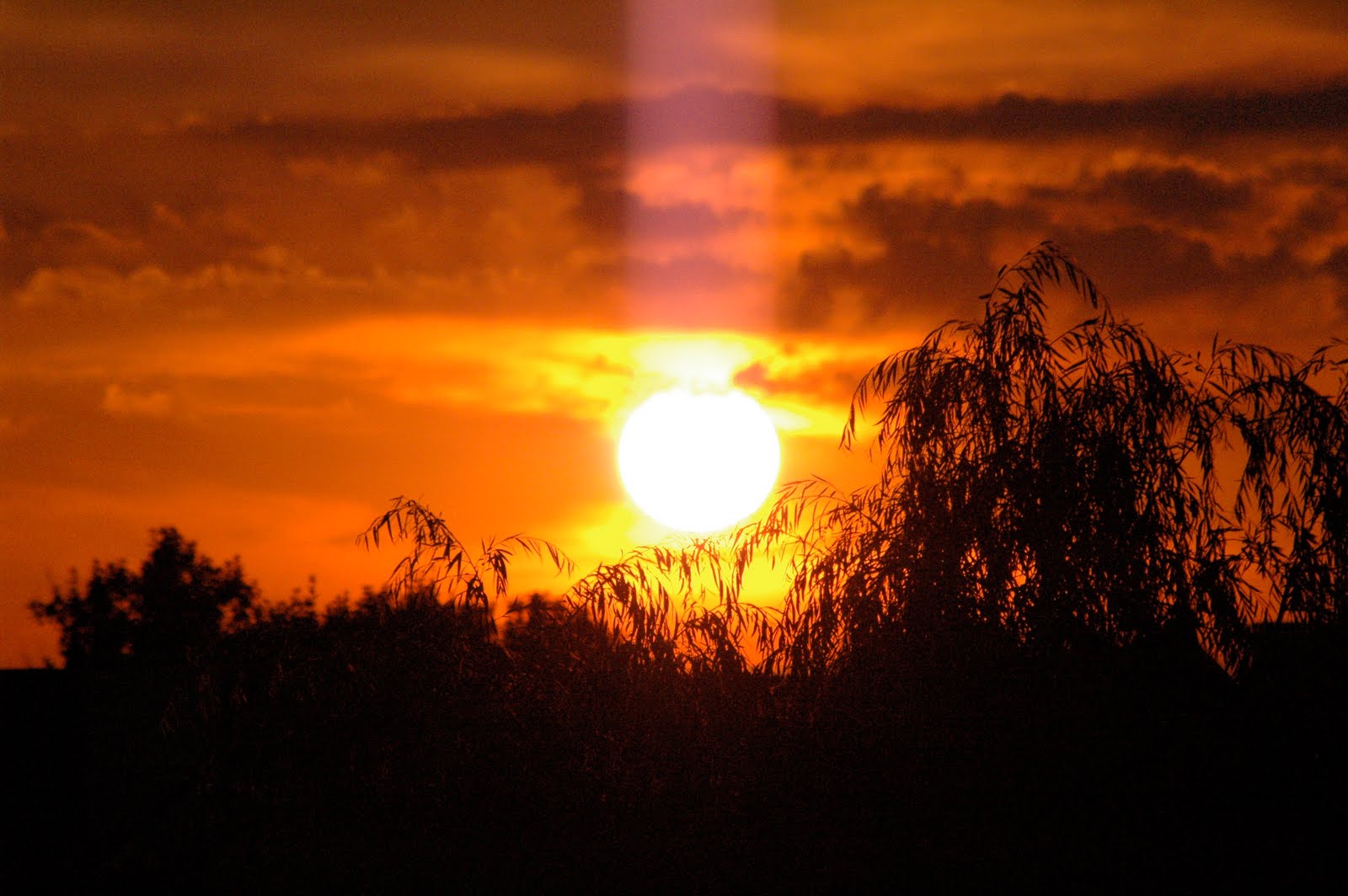 From Lens to Lens: Sunset Ball Dropping July 2007
