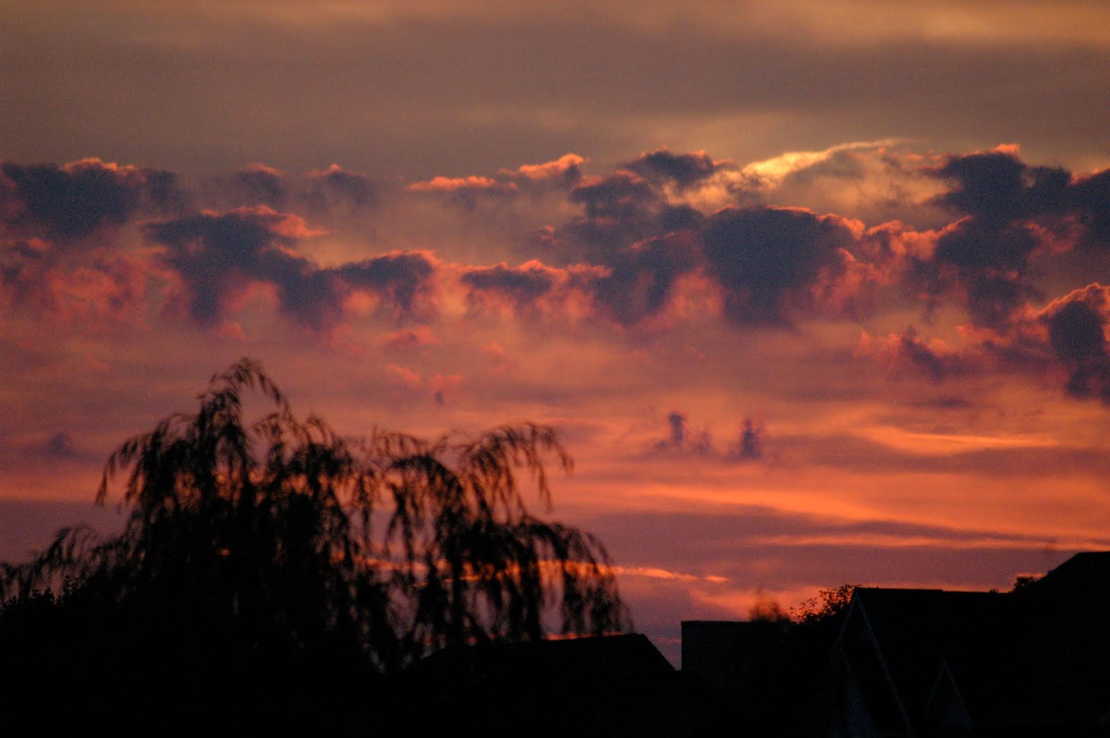 From Lens to Lens: Cool Skies